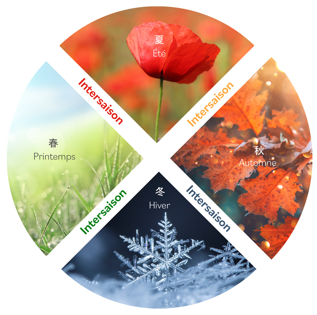 Medecine Traditionnelle Chinoise Mâcon - Equilibre MTC 71